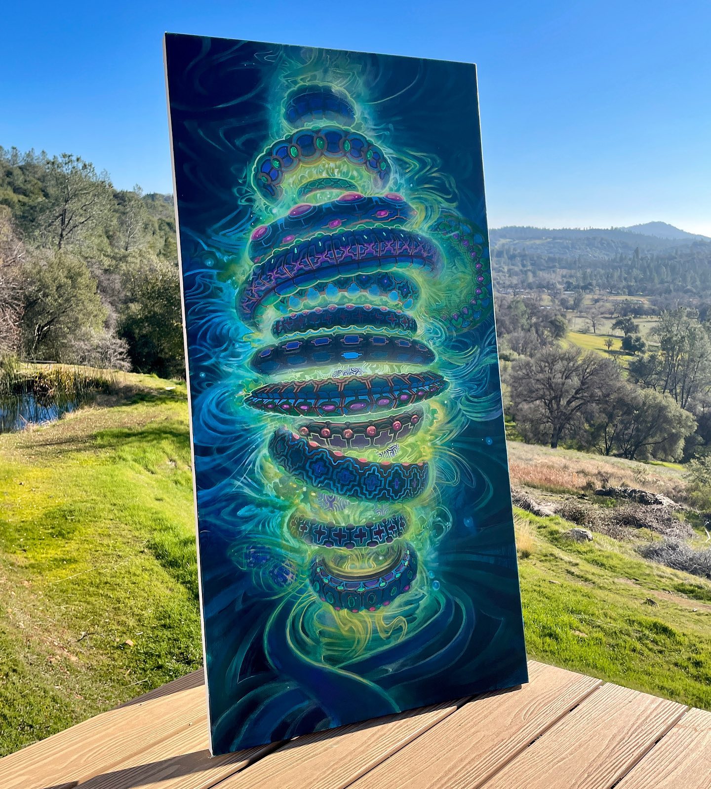 Paintings by Jonathan Solter | The Gallerist