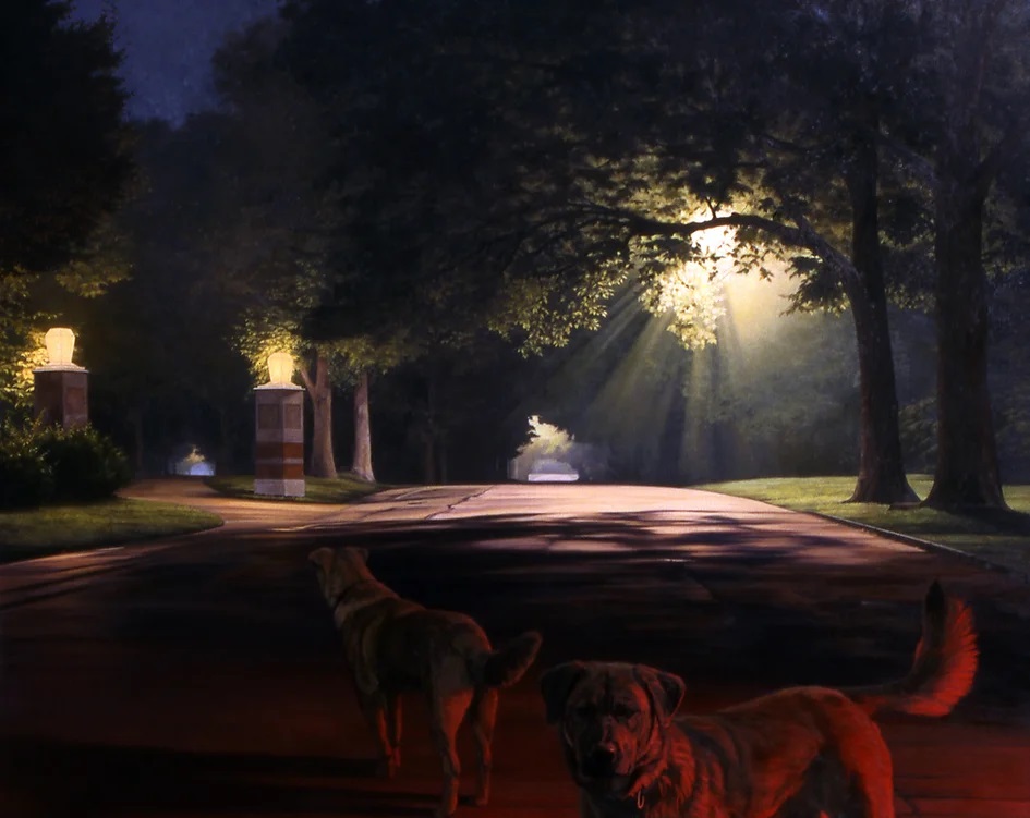 Paintings by Stephen Fox | The Gallerist