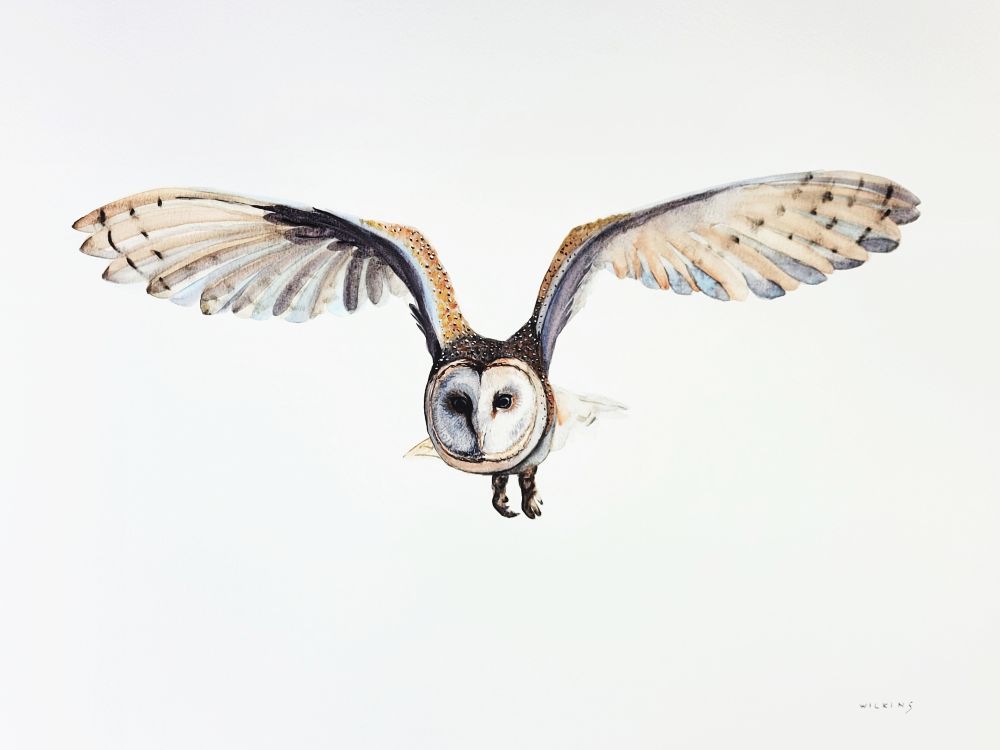 Paintings by Laura Wilkins | The Gallerist